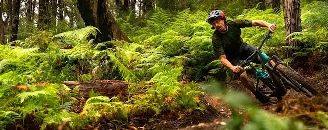 Shifty Fifty Warburton | Victoria Mountain Bike Race | Cycle Hub
